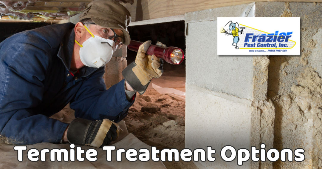 The Termite Inspection Process in Coachella Valley - Frazier Pest Control