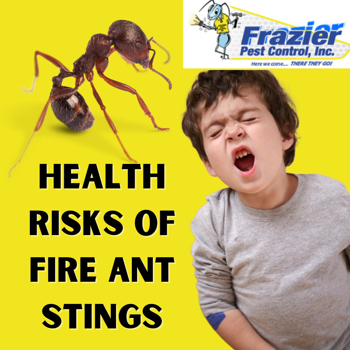 Red Imported Fire Ant: Recognizing and Avoiding Painful Stings ...